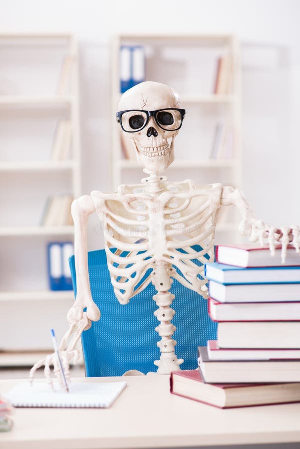 The Student Skeleton Preparing for Exams Stock Photo - Image of ...