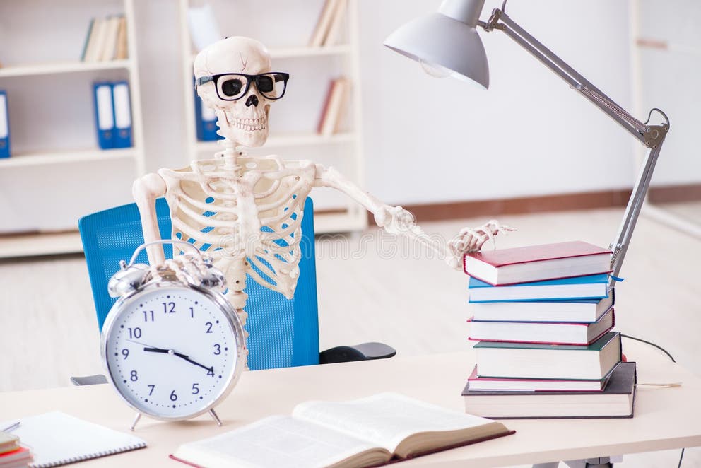 The Student Skeleton Preparing for Exams Stock Photo - Image of library ...