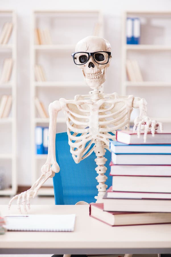 The Student Skeleton Preparing for Exams Stock Image - Image of books ...