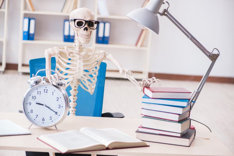 285 Skeleton Graduate Photos - Free & Royalty-Free Stock Photos from ...