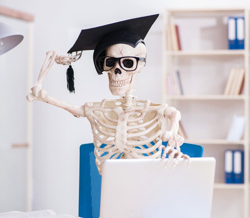 Student Skeleton Preparing for Exams Stock Photo - Image of dead ...
