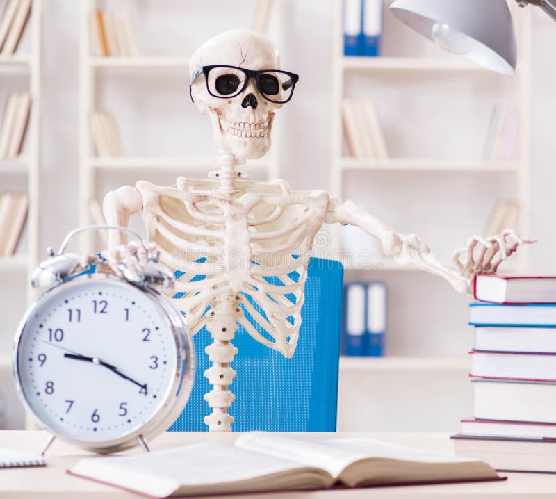 Student Skeleton Preparing for Exams Stock Image - Image of desk ...
