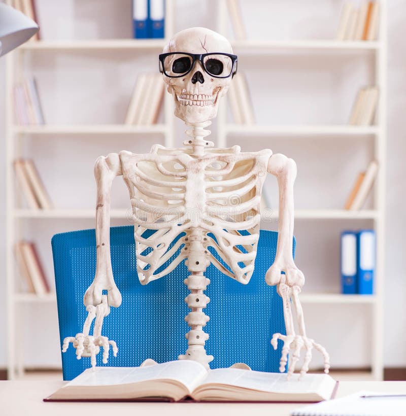 Student Skeleton Preparing for Exams Stock Photo - Image of death ...