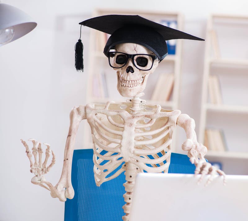 Student Skeleton Preparing for Exams Stock Photo - Image of lifelong ...