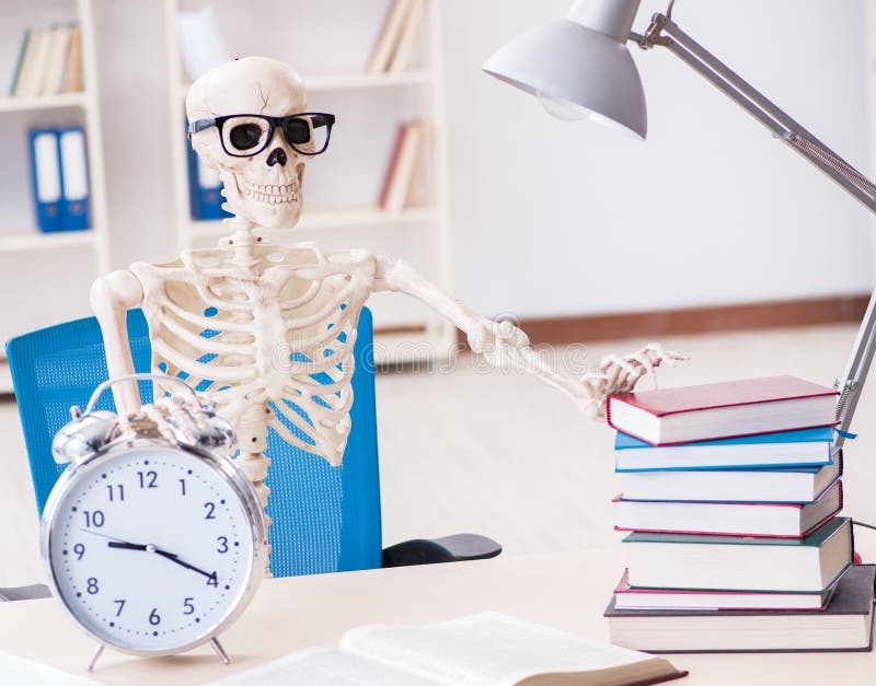 Student Skeleton Preparing for Exams Stock Image - Image of revising ...