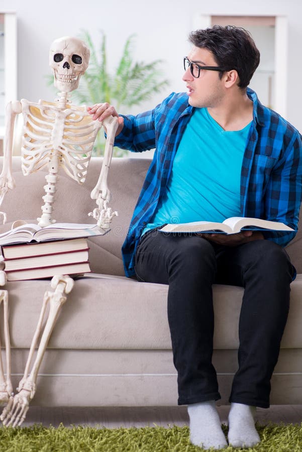 The Student Studying with Skeleton Preparing for Exams Stock Photo ...