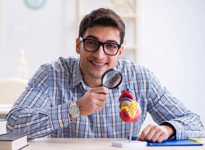 Student Studying Various Parts of Heart Stock Photo - Image of clinic ...