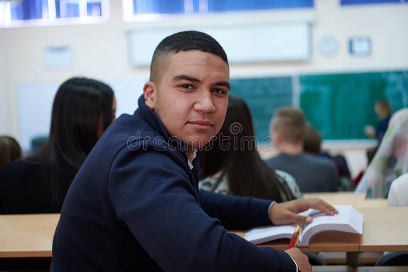 Student Taking Notes while Studying in High School Stock Photo - Image ...