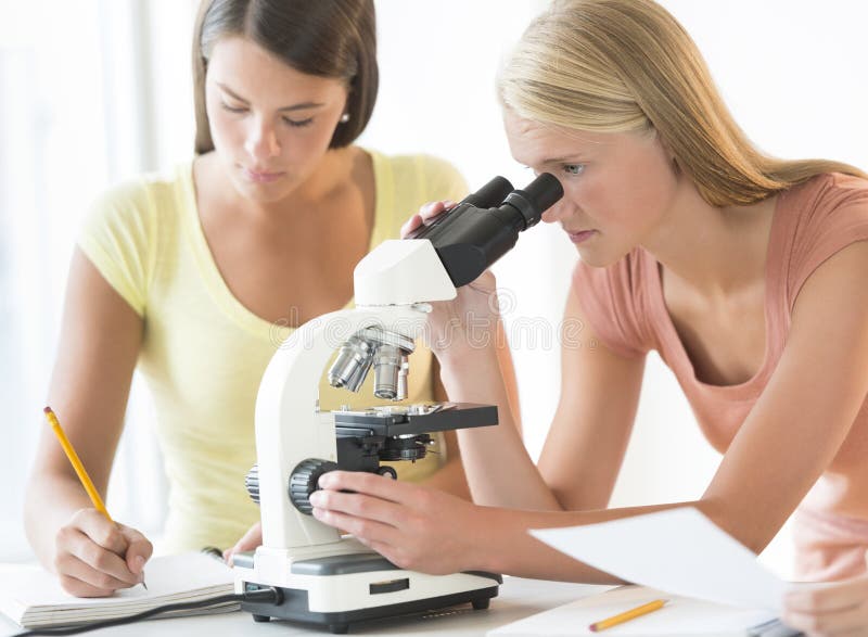 Kids using microscope stock photo. Image of exploring - 19821086