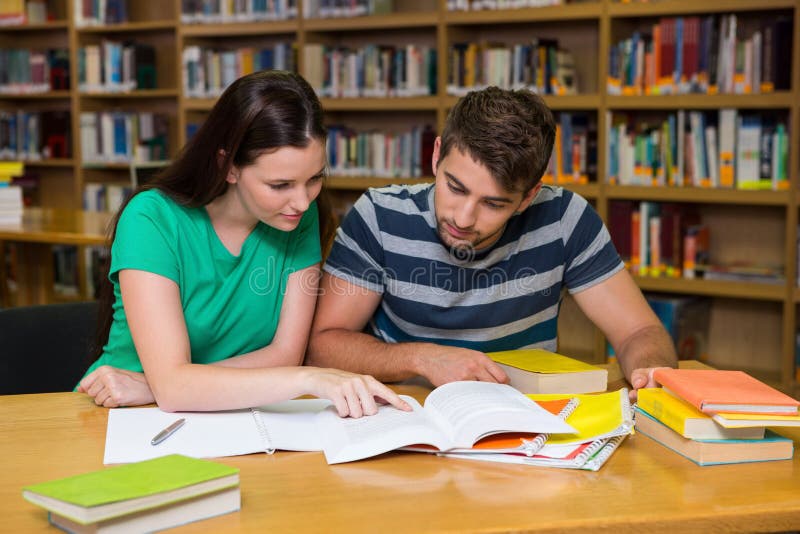 Studenti Che Studiano Insieme Nella Biblioteca Fotografia Stock ...