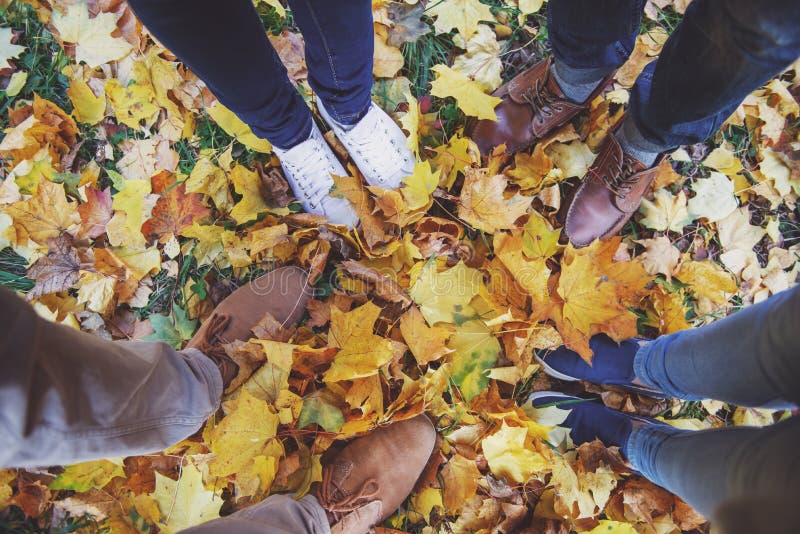 Students in autumn park stock photo. Image of person - 237570680