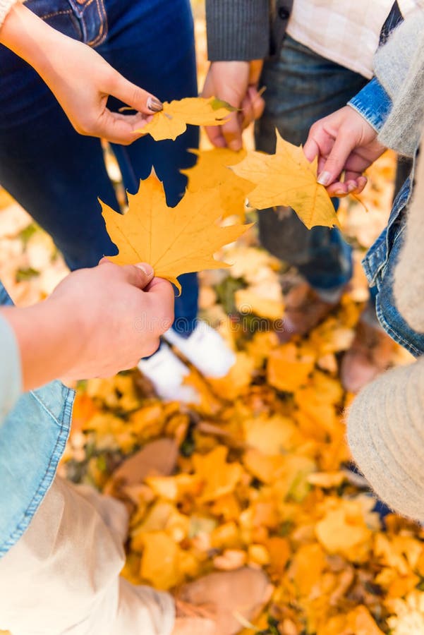 Students in autumn park stock photo. Image of pretty - 64434138