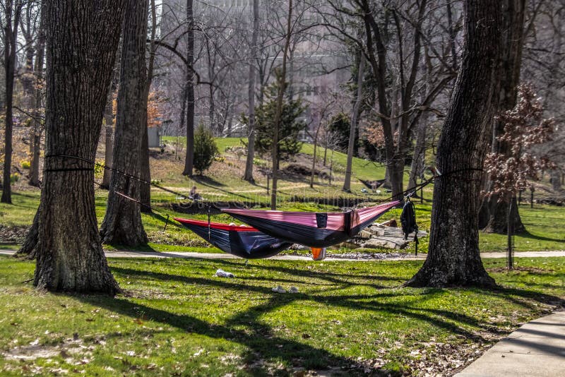 Students on Campus in Hammocks and Lying in Sun on Sunny Day in Early ...