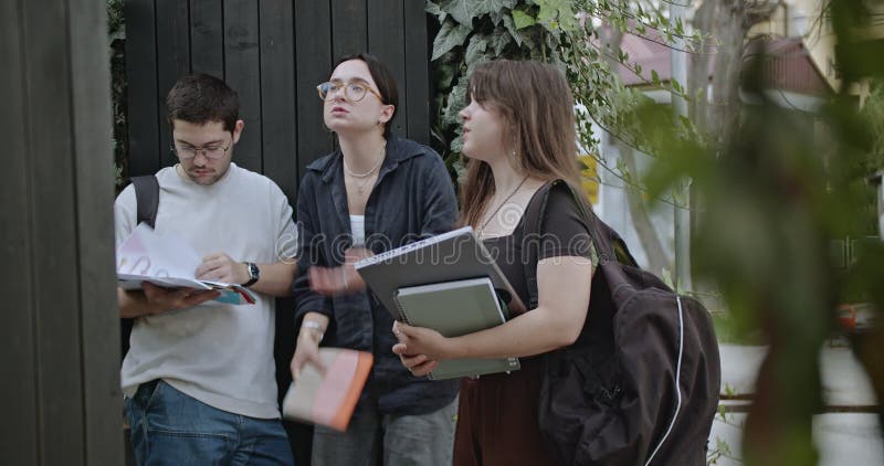 Students Collaborate, Discuss, and Learn Together. Teamwork, Friendship ...