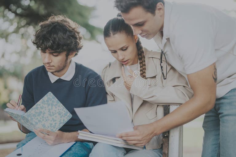 Students Collaborating in a Park while Studying Outdoors Together Stock ...