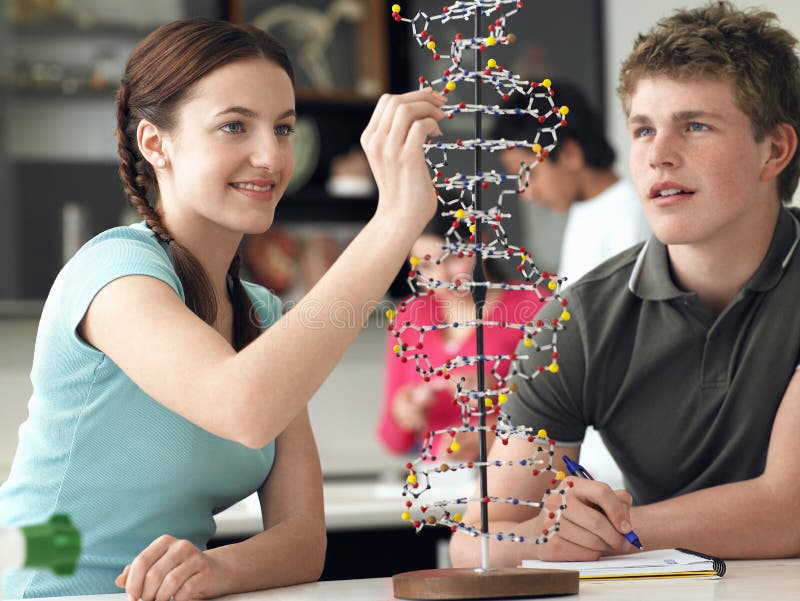 Students Examining DNA Model and Taking Notes Stock Photo - Image of ...