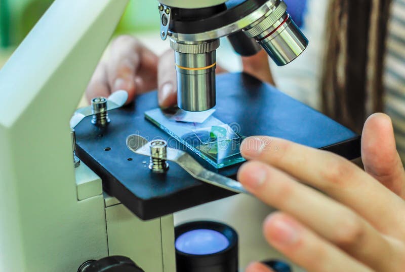 Students Experimenting and Discovering in Science Class Stock Photo ...