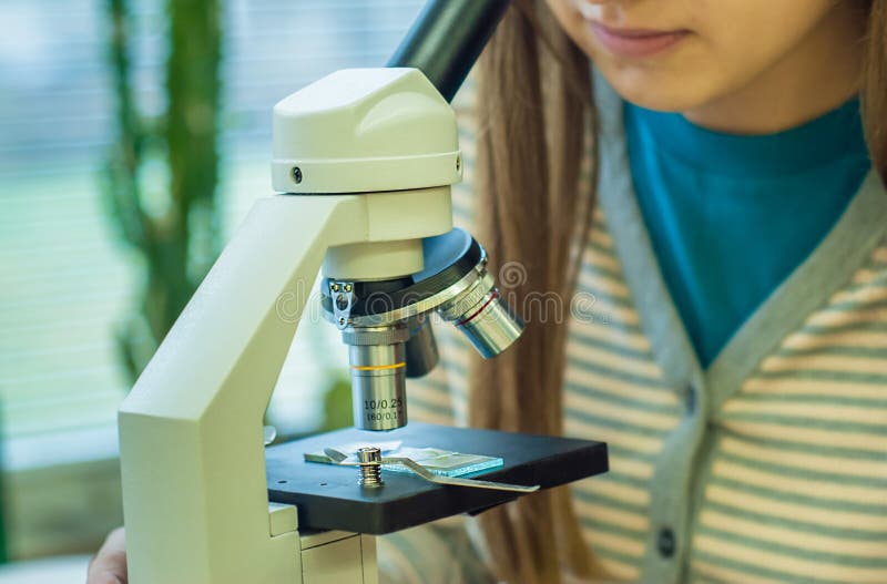 Students Experimenting and Discovering in Science Class Stock Image ...