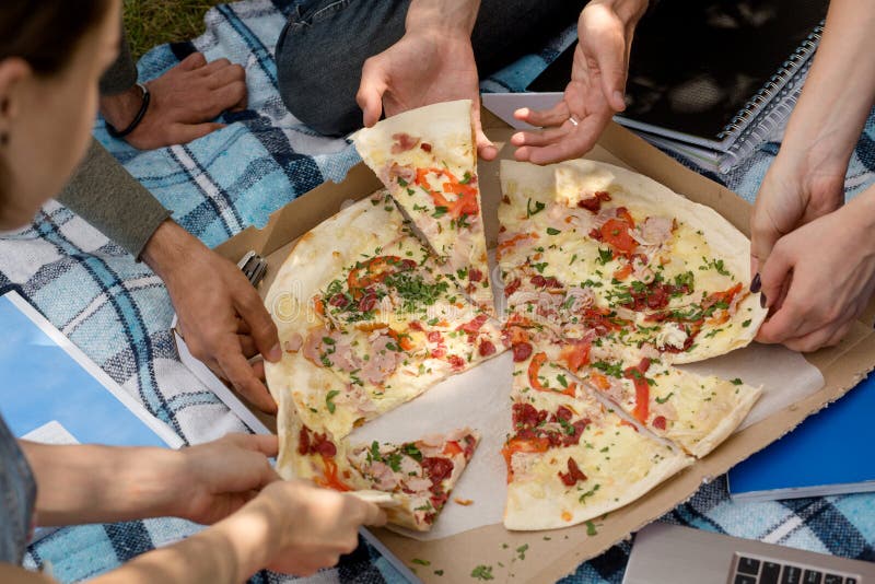 Students on Grass Having Picnic with Pizza. Stock Image - Image of ...