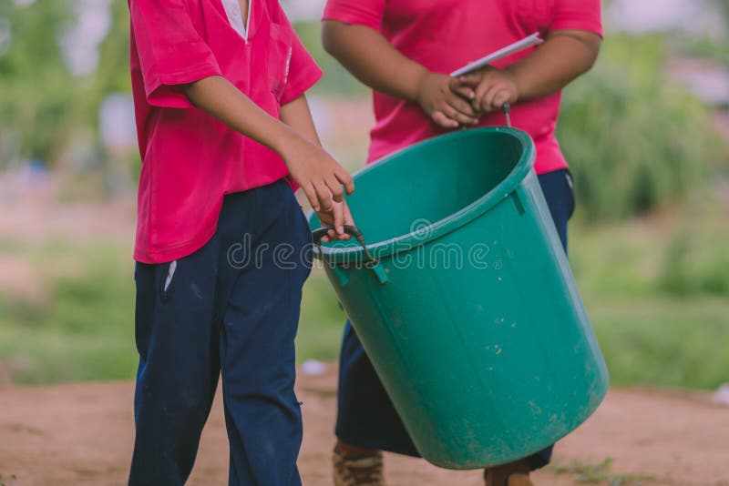 Litter Classroom Stock Photos - Free & Royalty-Free Stock Photos from ...