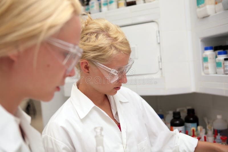 Students in the laboratory stock photo. Image of learning - 10833954