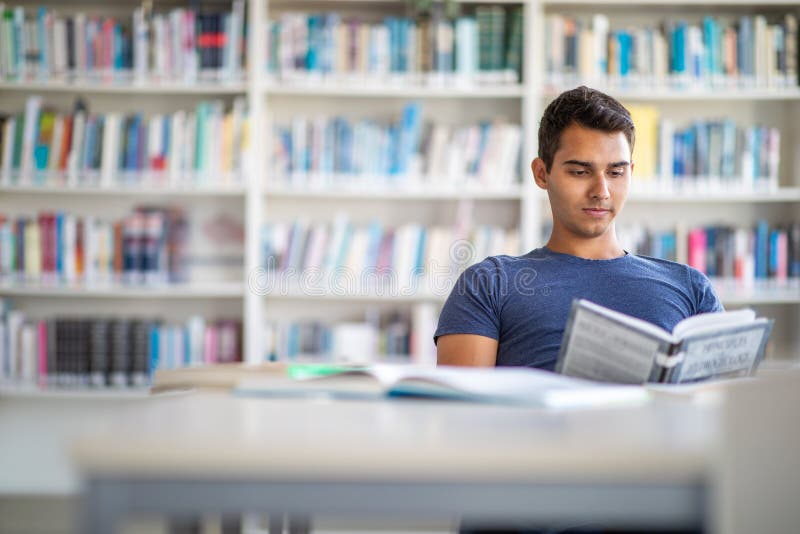 Handsome Student Reading a Book for His Class in a Bright Modern ...