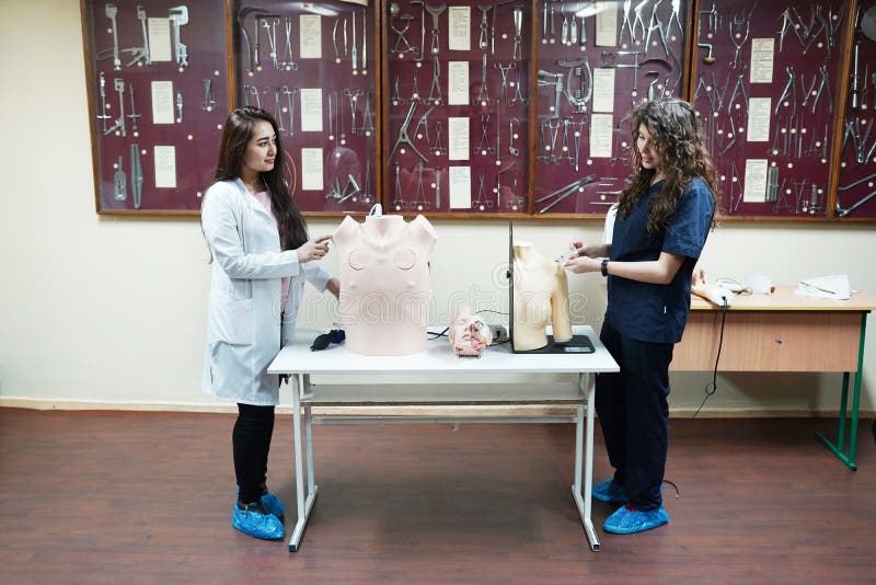 Students of Medicine Examining Anatomical Model in Classroom Stock ...