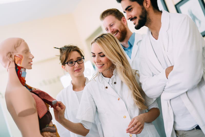 Students of Medicine Examining Anatomical Model in Classroom Stock ...