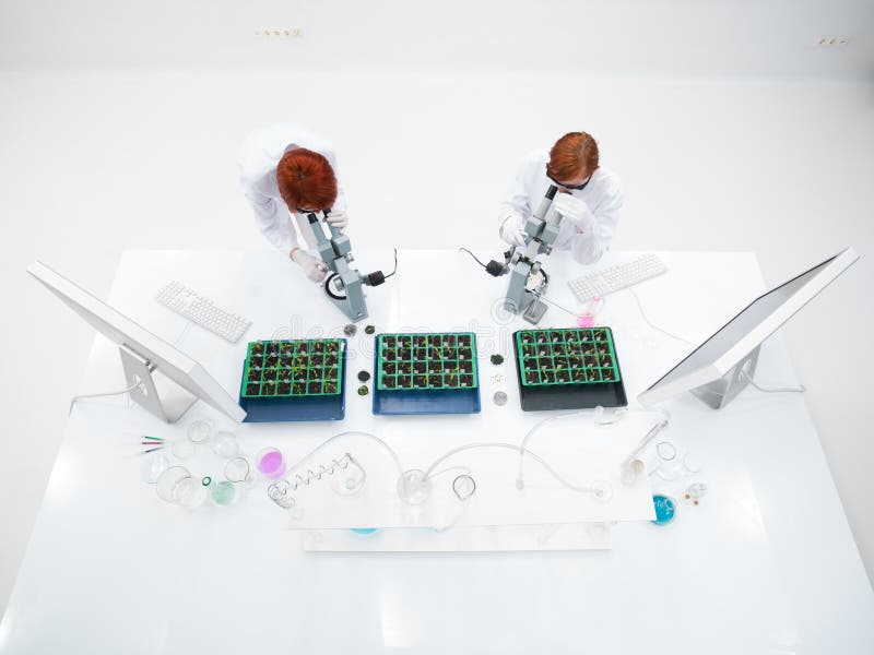 Students Microscope Lab Analysis Stock Photo - Image of chemist, earth ...