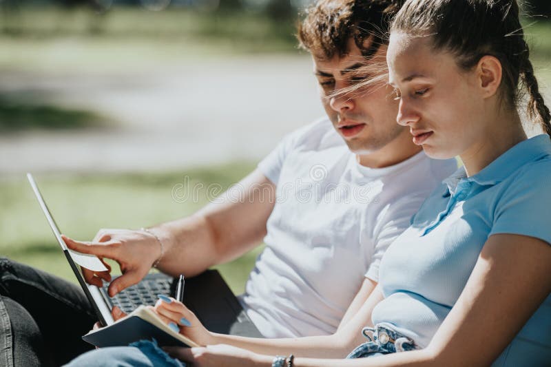 Students Sharing Ideas while Studying Together in a Park, Immersed in ...