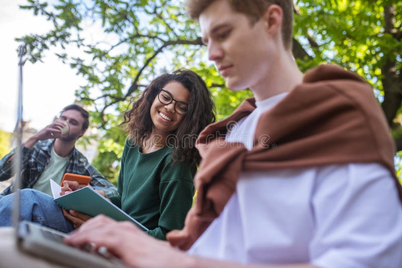 Students Studying in the Park and Looking Involved Stock Photo - Image ...