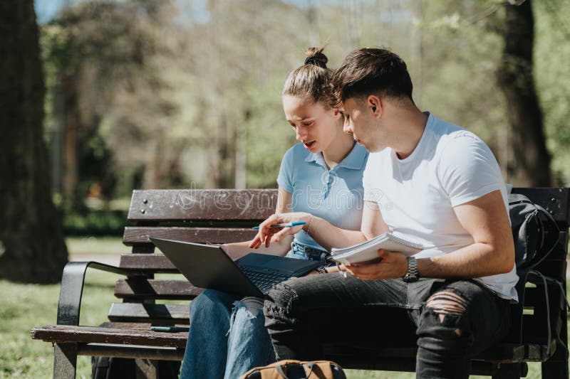 Students Studying Together at a Park, Sharing Ideas and Enjoying Nature ...