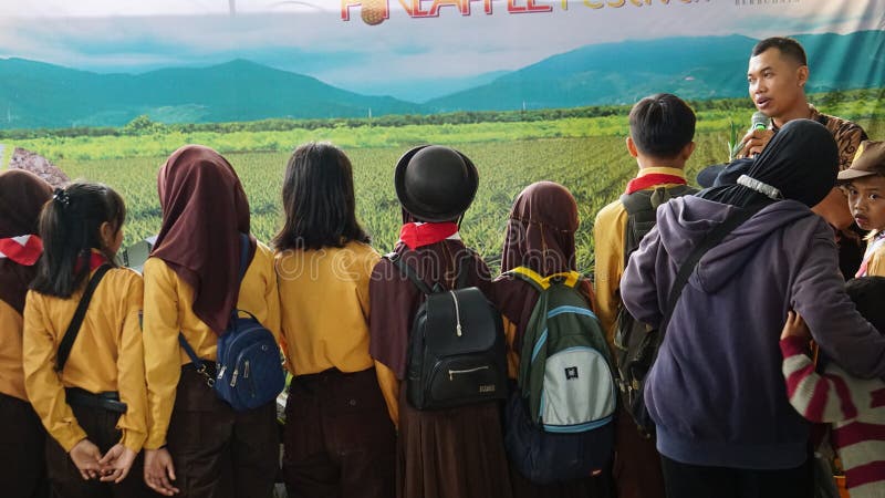 Students Take Part in Out-of-school Activities on Pineapple Seeding and ...