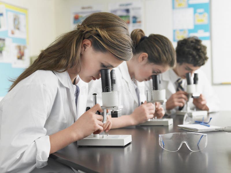 Students Learning Scientific Experiments Stock Photo - Image of ...