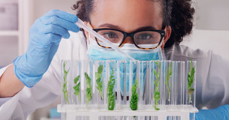 She Studies All Forms of Plant Life. a Young Scientist Working with ...