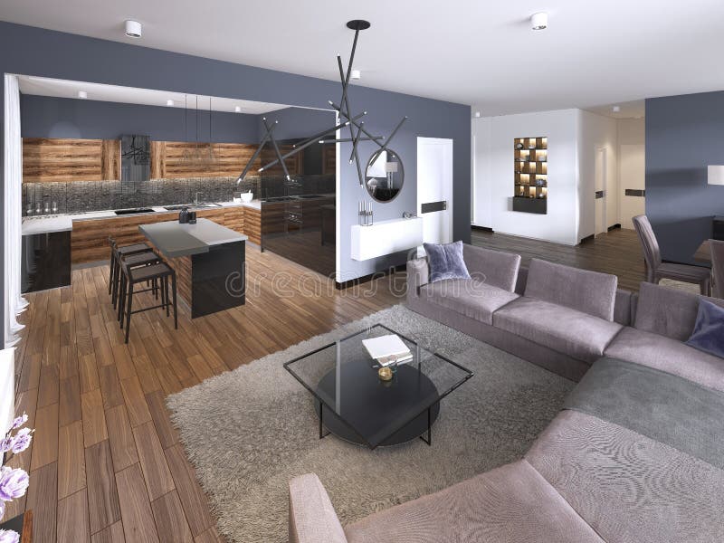 Studio Apartment with Open Living Room, Kitchenette and Dining Area ...