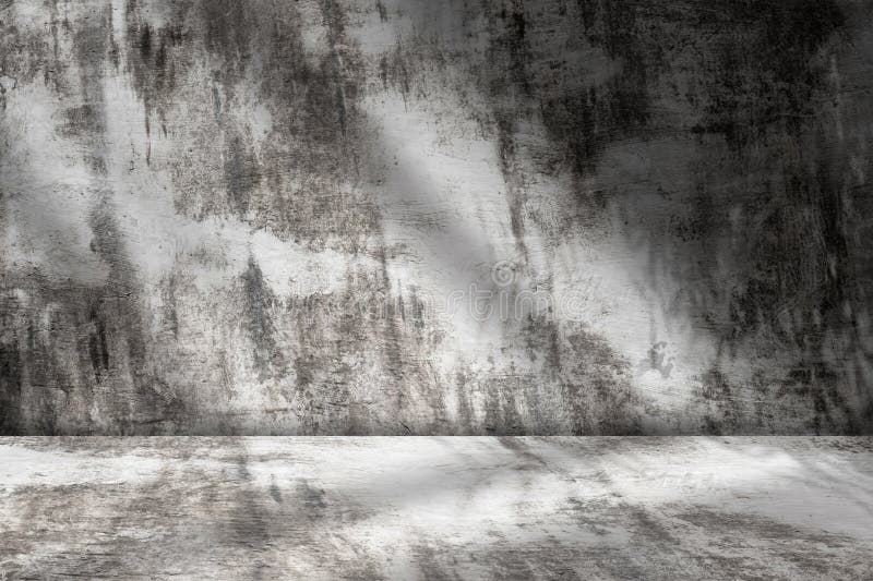 Studio Background,Concrete Wall Texture with Leaves Shadow on Grey ...