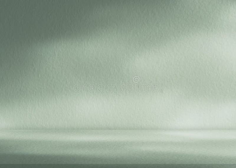 Studio Background Green Wall with Shadow Leaves, Light on Floor, Empty ...