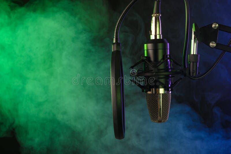 Studio Condenser Microphone with Pop-filter and Anti-vibration Mount ...