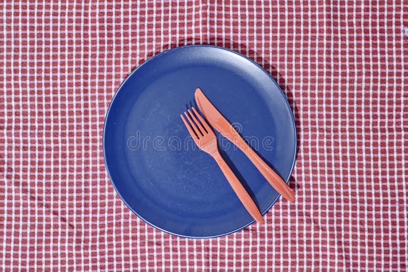 Dinner Plate stock image. Image of fork, bright, dishware - 214148555