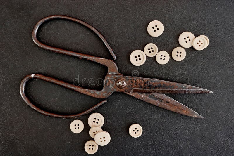 Vintage Scissors stock photo. Image of metal, vintage - 113696370