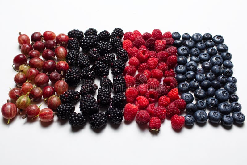 Studio Photography of Fresh Wild Berries Situated in Line, Isolated on ...