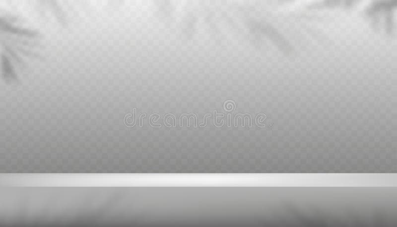 Studio Room with 3D Display Shelf with Light and Shadow of Leaves on ...