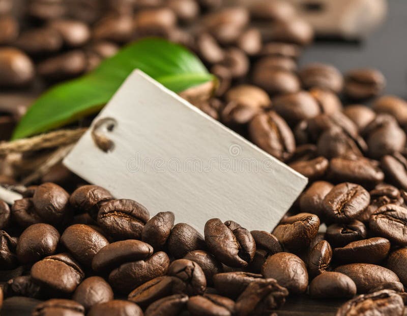 Studio Shot of Coffee Beans Stock Image - Image of food, natural: 322833969