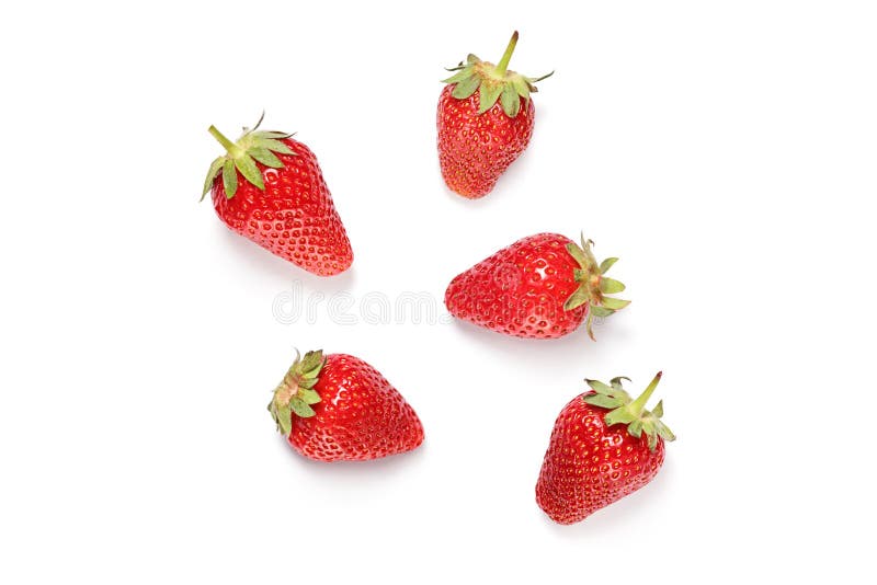 Five Strawberries in the Process of Decomposition Stock Image - Image ...
