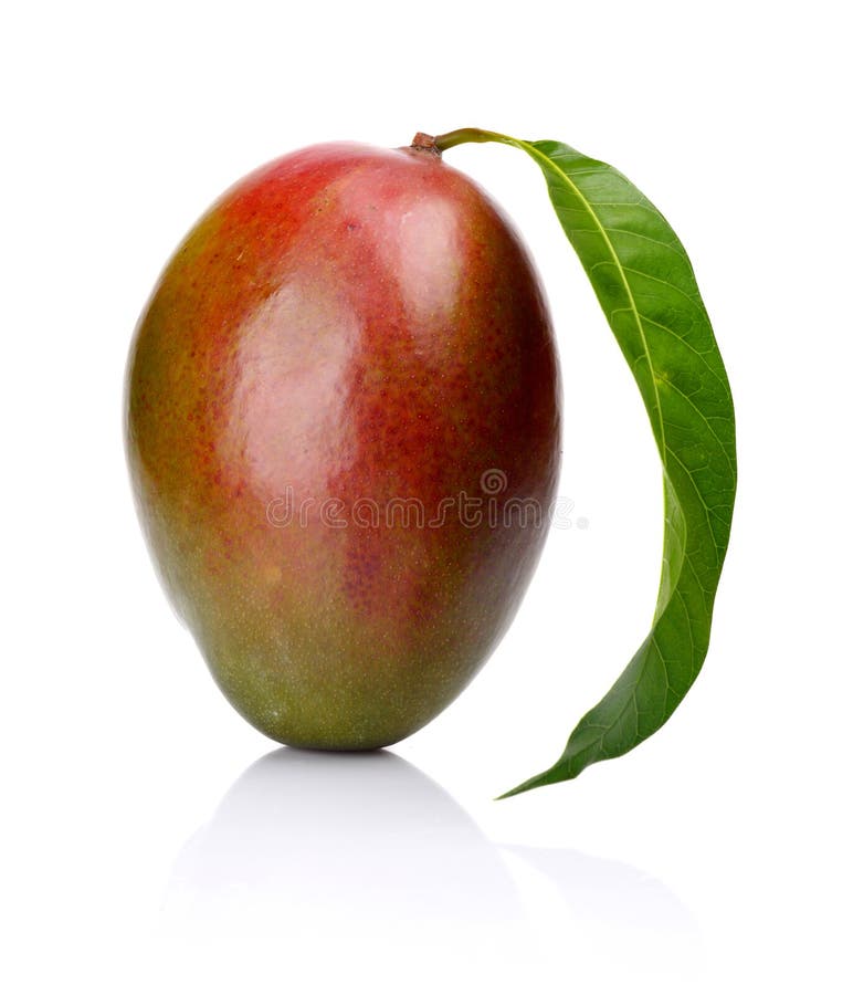 Whole Mango Fruit Isolated on White Background. Stock Photo - Image of ...