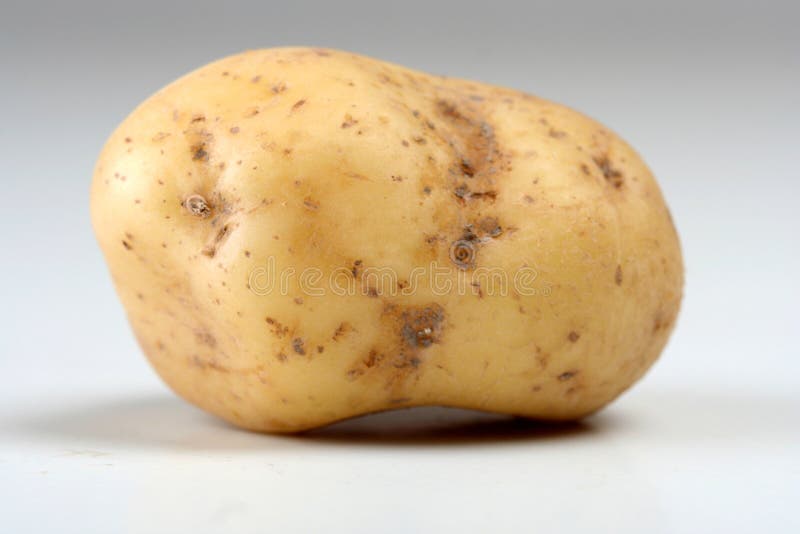 Studio Shot of Potato - Close Up Stock Photo - Image of diet, isolated ...