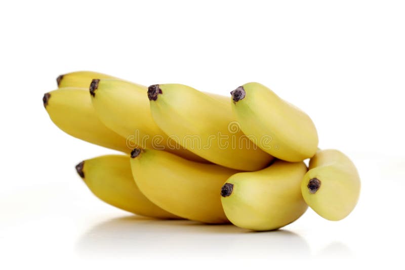 Studio Shot of Small Bananas Stock Image - Image of fresh, lifestyle ...