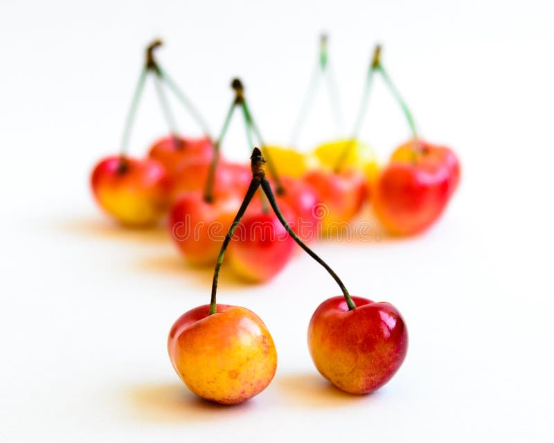 Studio Shot Two Joined Stem Rainier Cherries with Blurred Pile on White ...