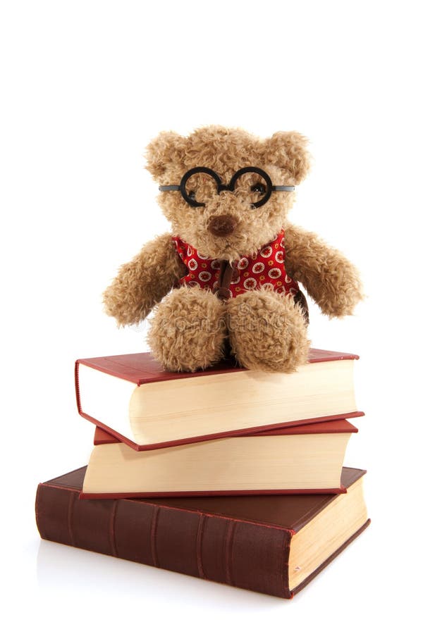 Study bear stock image. Image of isolated, reading, study - 15103943
